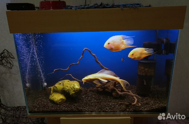Аквариум 140л. + комплектующие