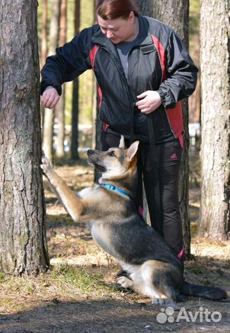 Самый воспитанный малыш Ян ждет хозяев