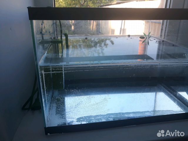 Водоплавающие черепашки