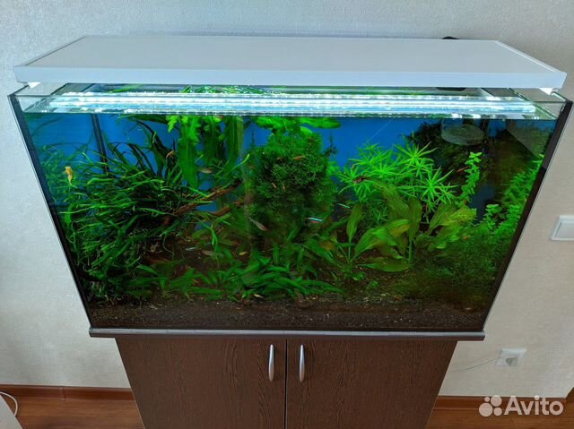 Аквариум на 110л. растения рыбки + оборудование