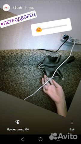 Сахарный поссум