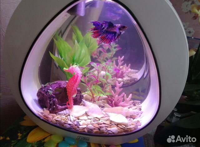 Аквариум 6л с фильтром, аэрацией и светом
