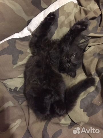 Крошечки- хаврошечки