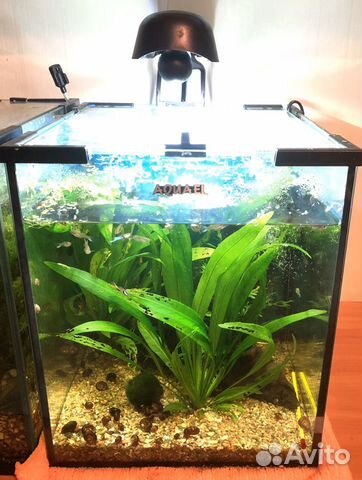 Аквариум кубик акваэль