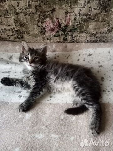 Сплошное очарование