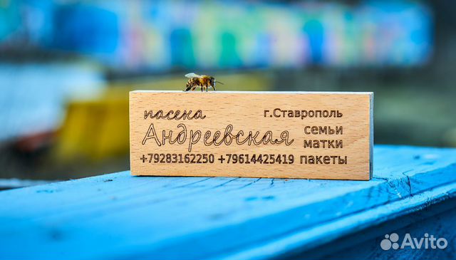 Плодные матки