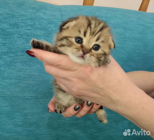 Умилительные чудо детки