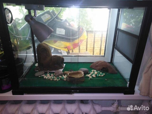Террариум repti ZOO + эублефар