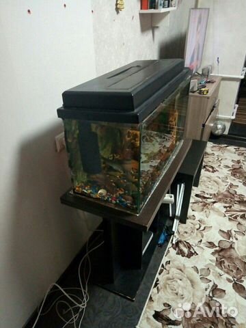 Аквариум