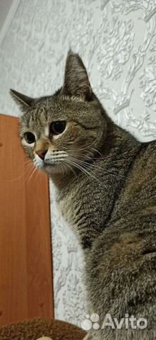 Ксюше нужен дом