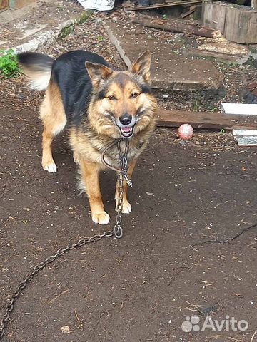 Хороший мальчик