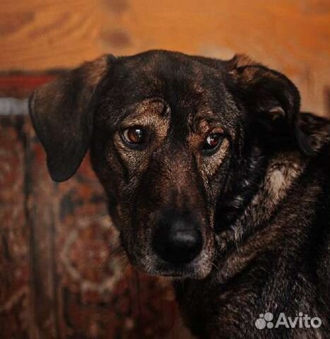 Душевный мальчишка очень хочет домой