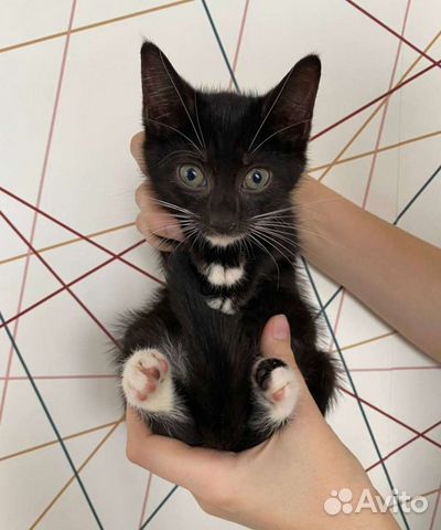 Инопланетянка