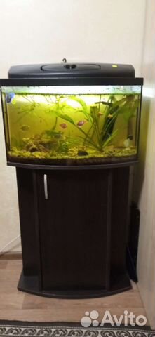 Аквариум с рыбкамии тумбой