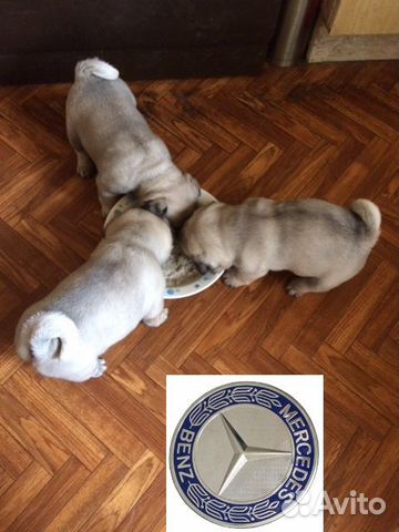 Мальчики и Девочки