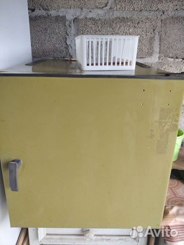 Инкубатор петушок