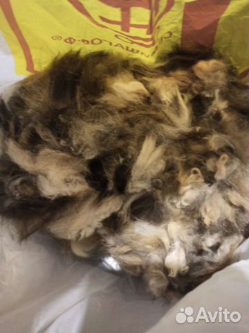 Кошачья шерсть