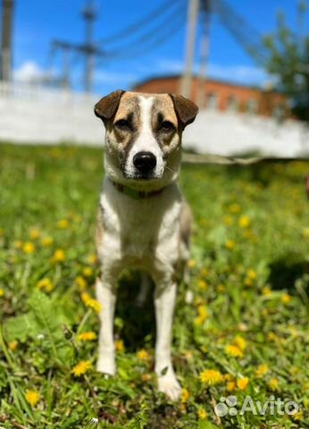 Маленькая и красивая Ляля ждет своего человека