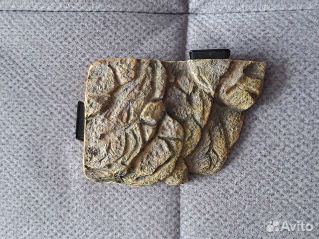 Берег для черепахи