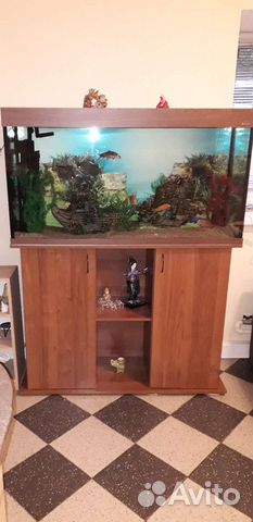 Аквариум